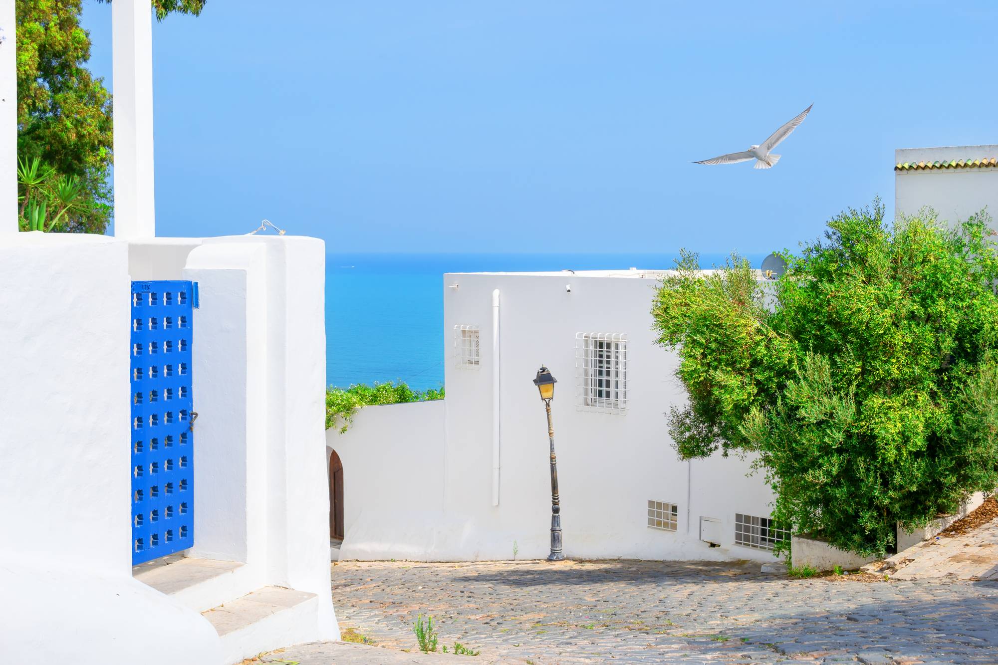 Tunisia – Rocket International